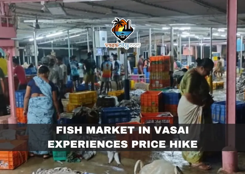 Fish Market in Vasai Experiences Price Hike | VasaiCity.com